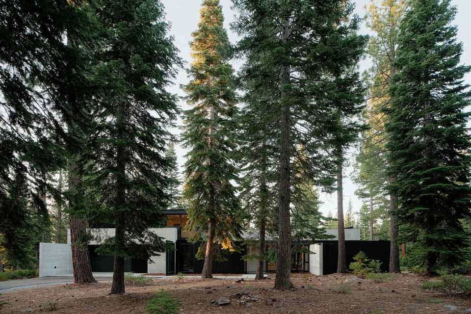TRUCKEE FOREST HOUSE - Notable Distinction